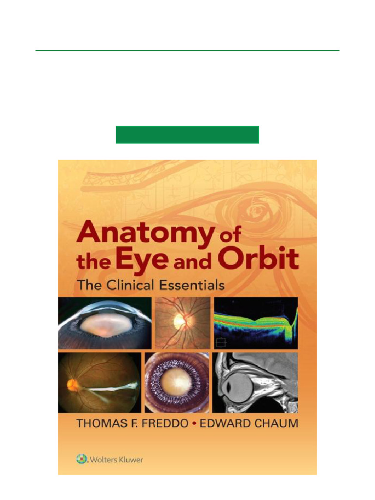 Anatomy of The Eye and Orbit The Clinical Essentials Full Book Download | PDF | Retina ...