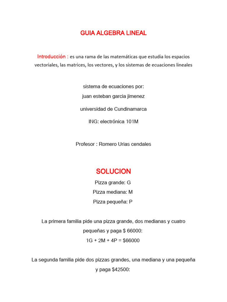 Solución de Ecuaciones de Precios de Pizzas | PDF | Álgebra lineal ...