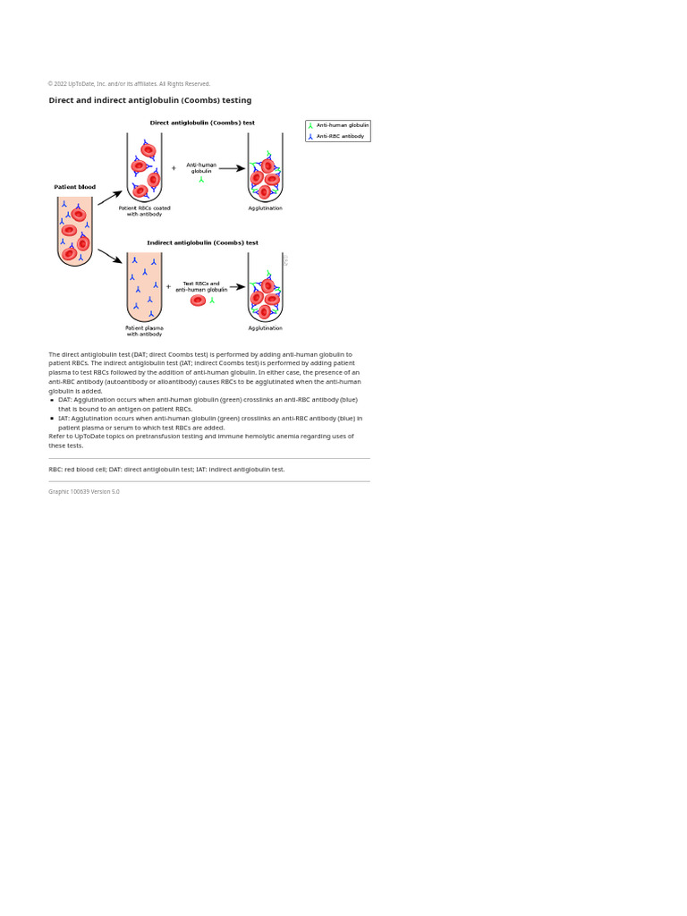 Direct vs Indirect Coombs Testing | PDF