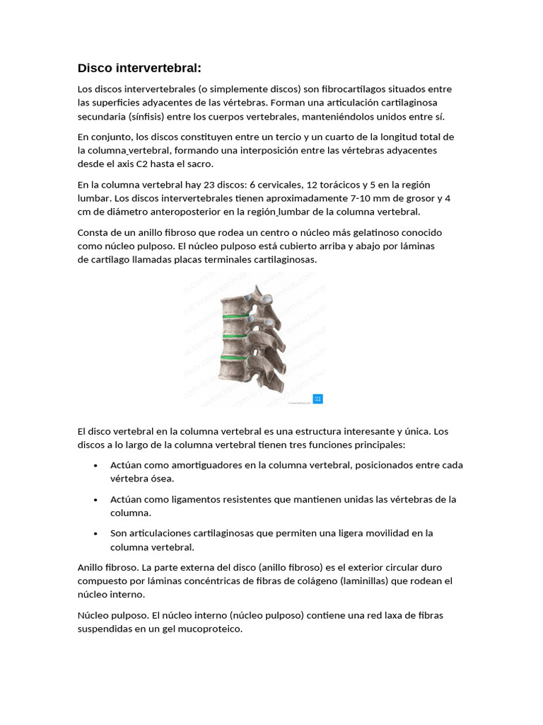 Disco Intervertebral (Recuperado Automáticamente) | PDF | La columna ...