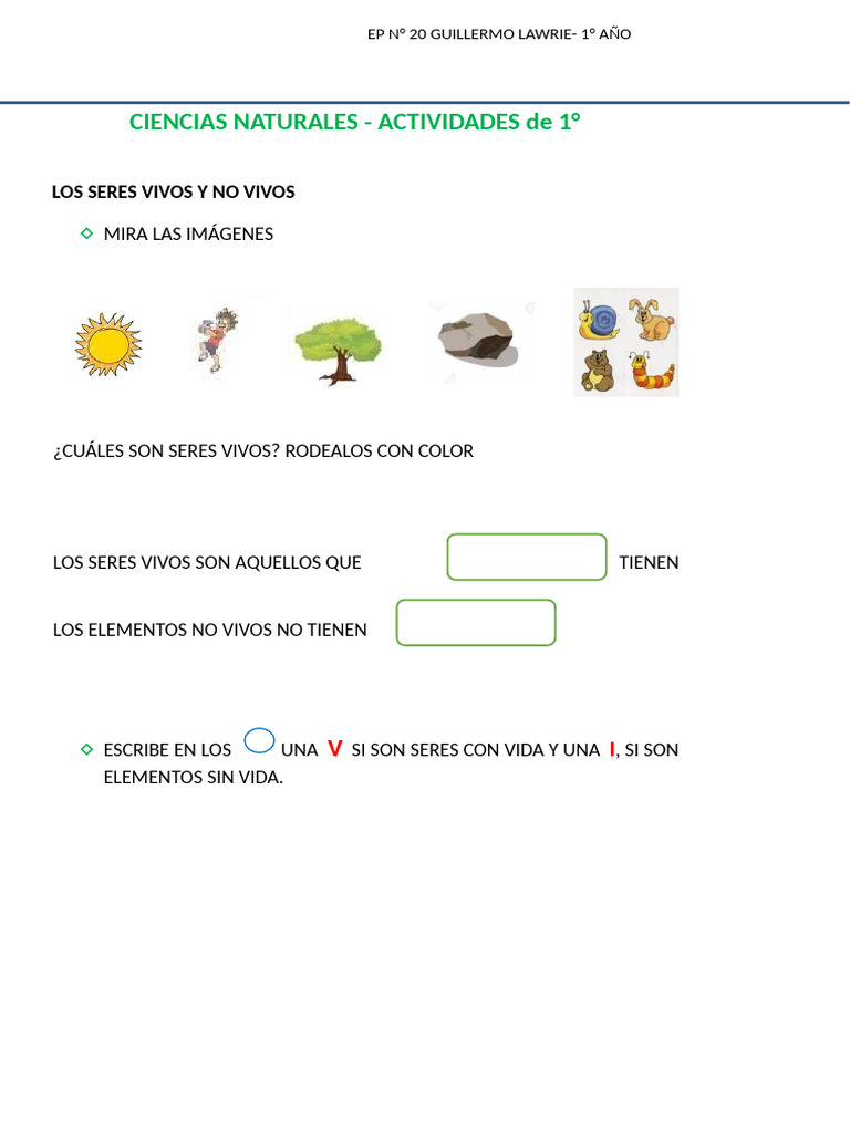 Actividades sobre Seres Vivos y No Vivos | PDF