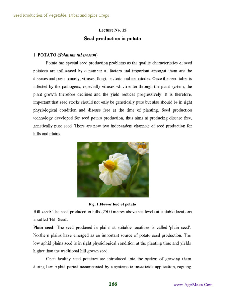 Seed Production of Potato | PDF
