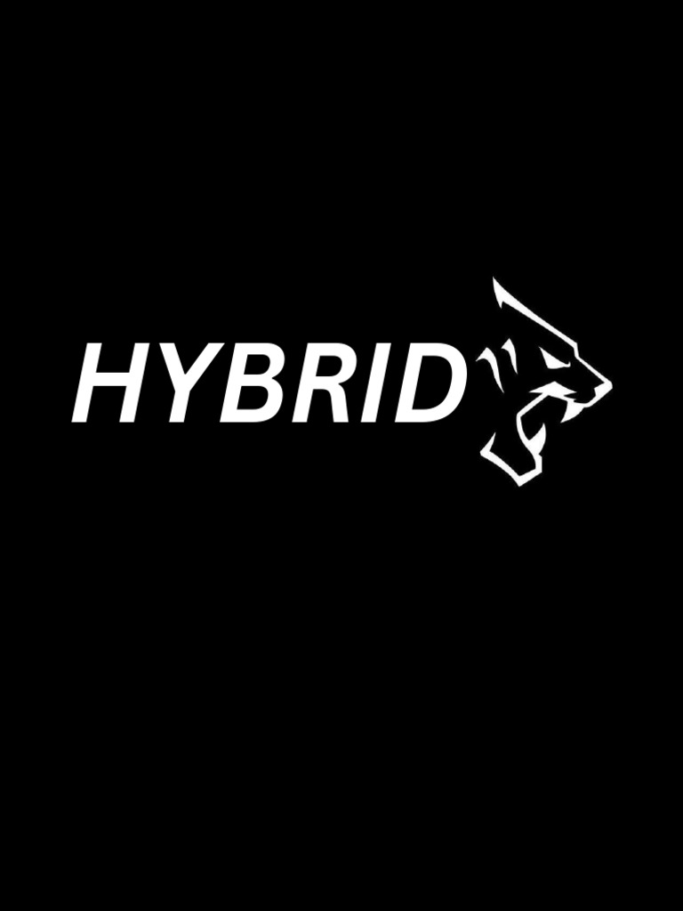 Hybrid Logo 2.0 | PDF