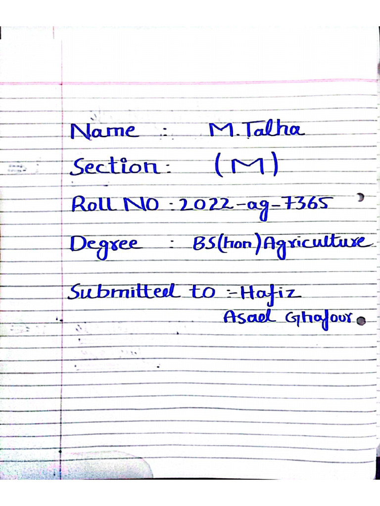 Muhammad Talha 2022-Ag-7365 | PDF