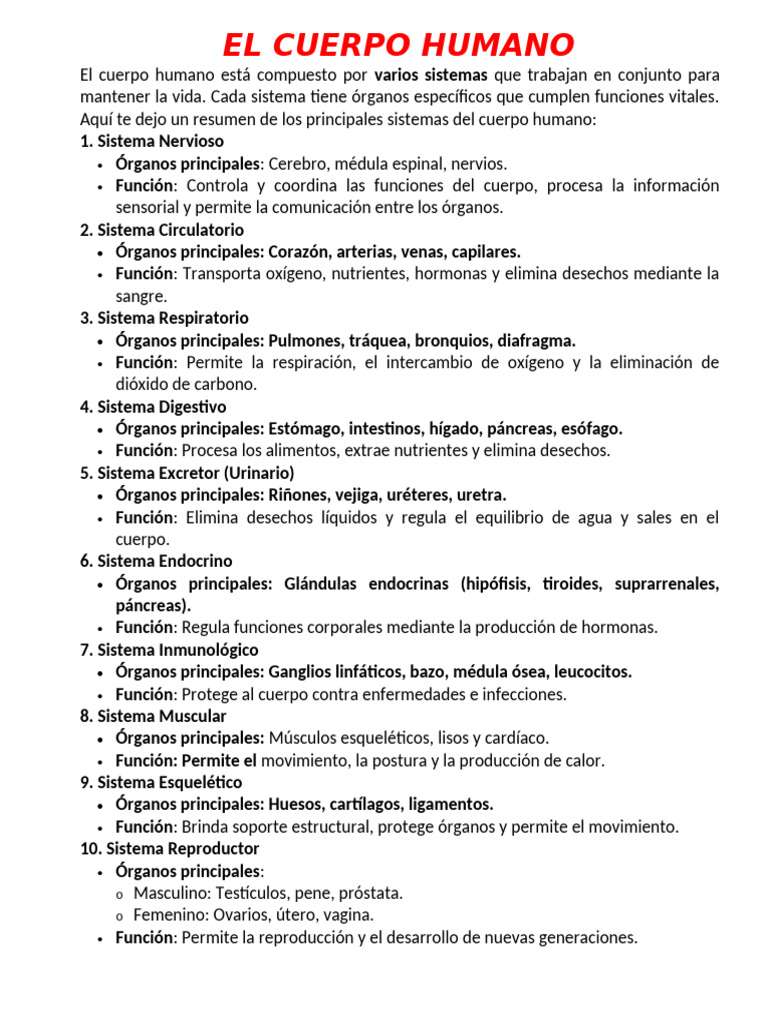 El Cuerpo Humano | PDF