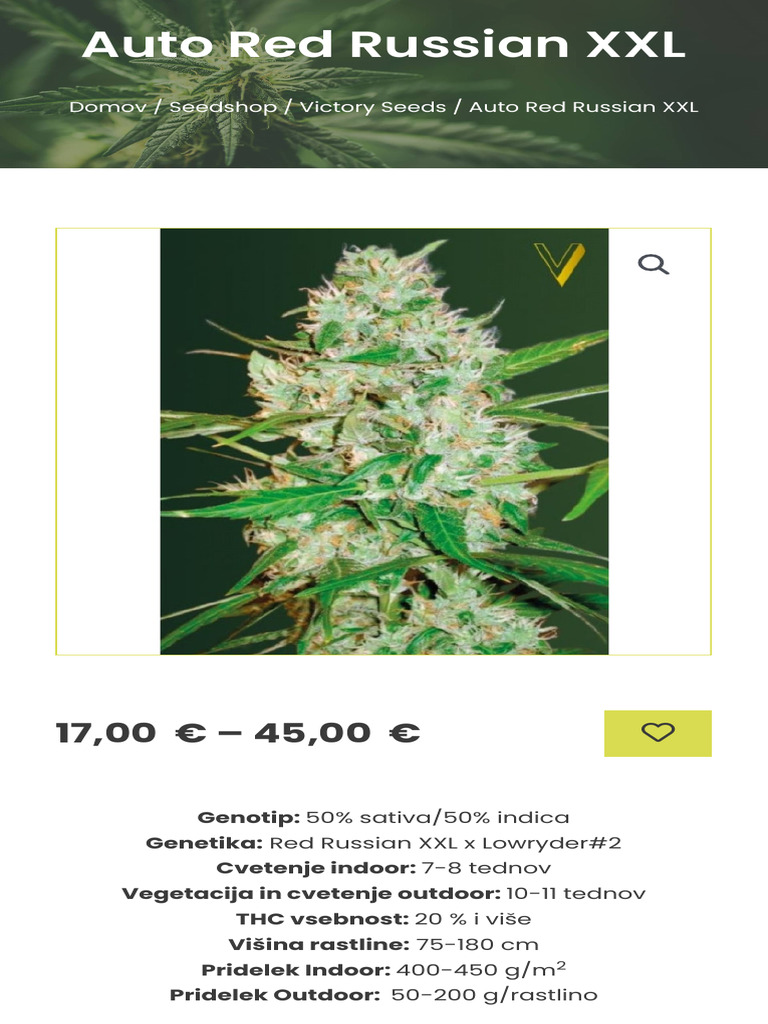 Auto Red Russian XXL - Prvi Pravi Slovenski Online Headshop! | PDF