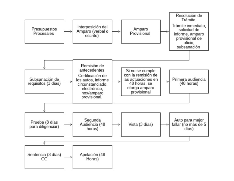 Esquema Procesal Constitucional | PDF