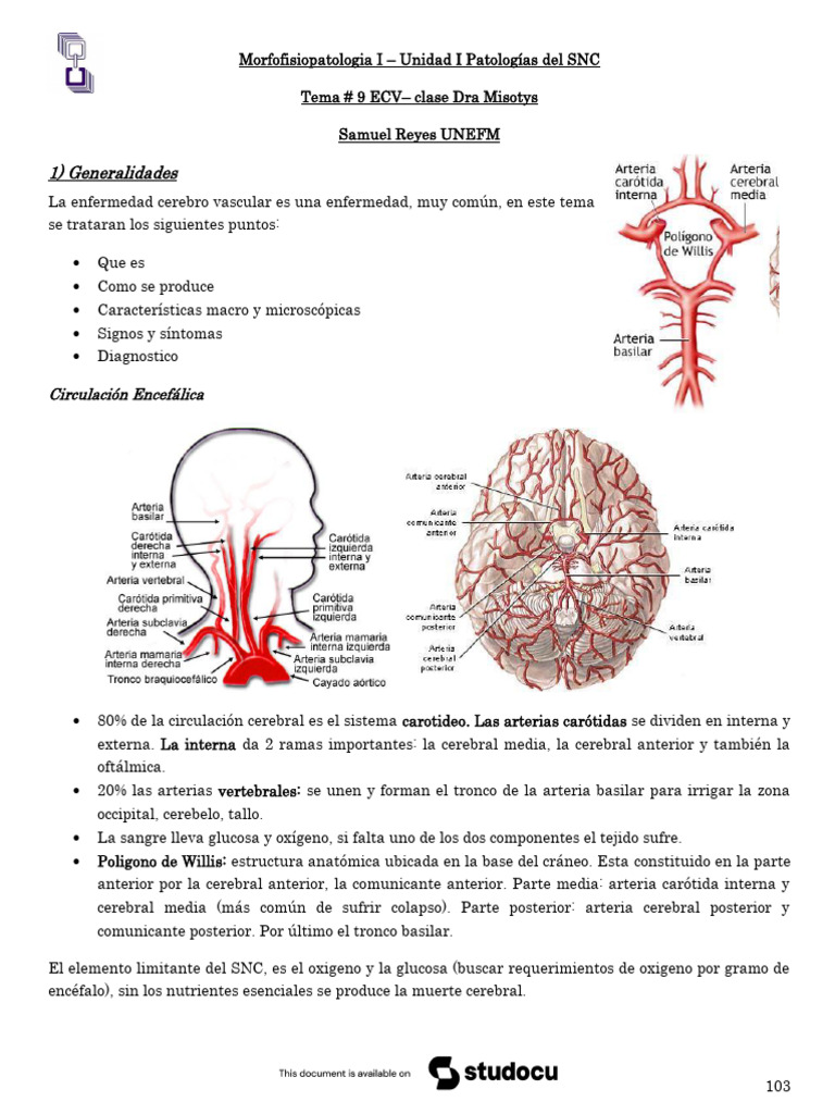 Ecv Samuel | PDF | Carrera | Isquemia