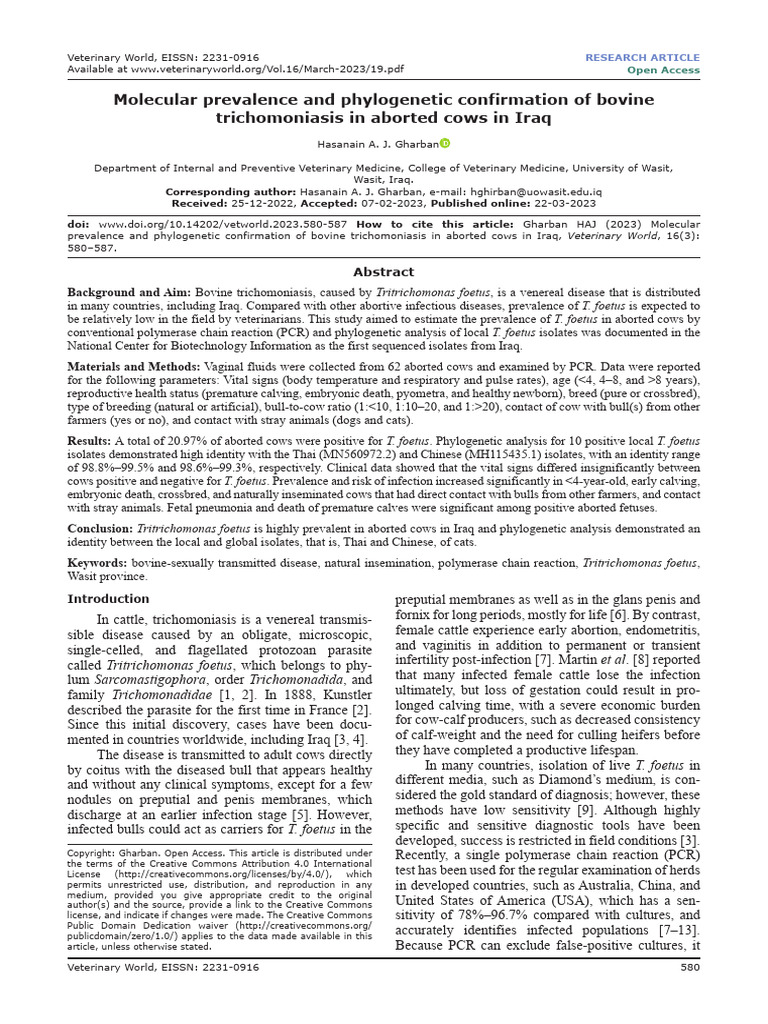 Molecular Prevalence and Phylogenetic Confirmation | PDF | Cattle | Polymerase Chain Reaction