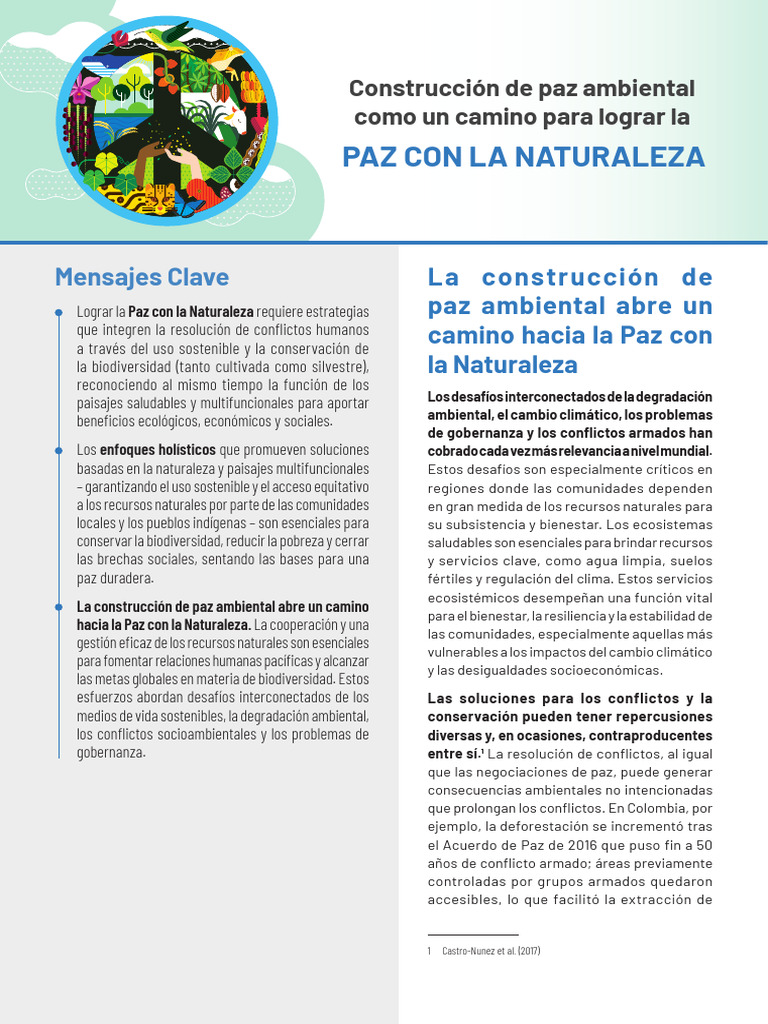 Construcción de Paz Ambiental para Lograr La Paz Con La Naturaleza ...