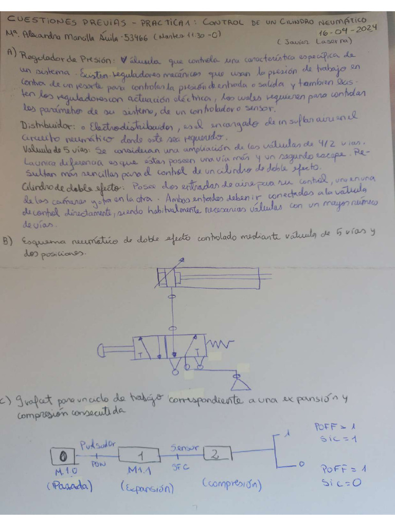 Cuestiones Previas Mancilla Avila MAlexandra | PDF