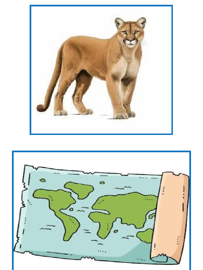 Puma Mapa | PDF