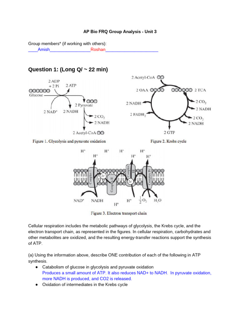 AP Bio Unit 3 Cellular Respiration Analysis | PDF | Cellular ...