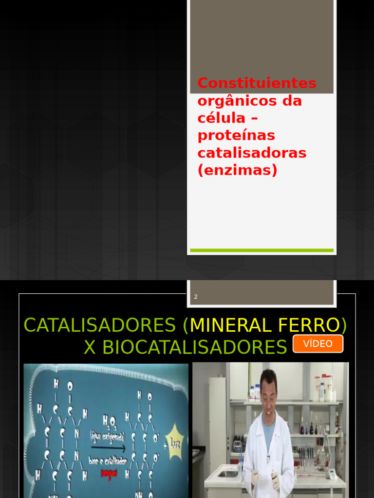 AULA 7 - ENZIMAS - BIOCATALISADORES - Constituientes Orgânicos Da ...