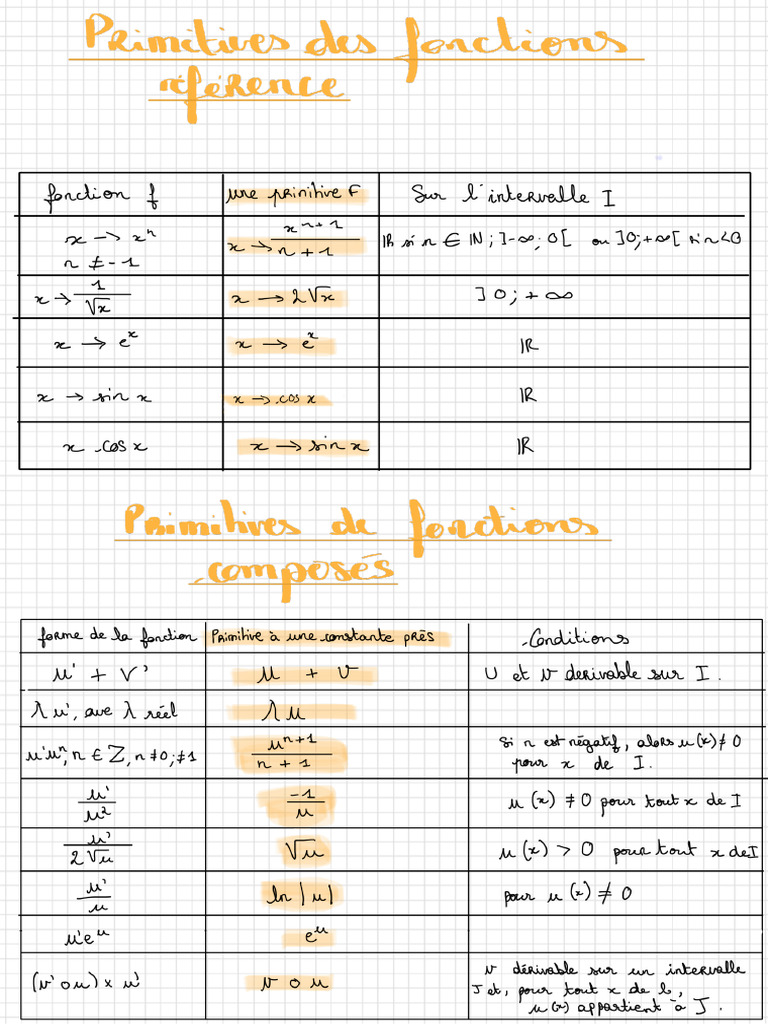 Primitive Equations Différentielles | PDF