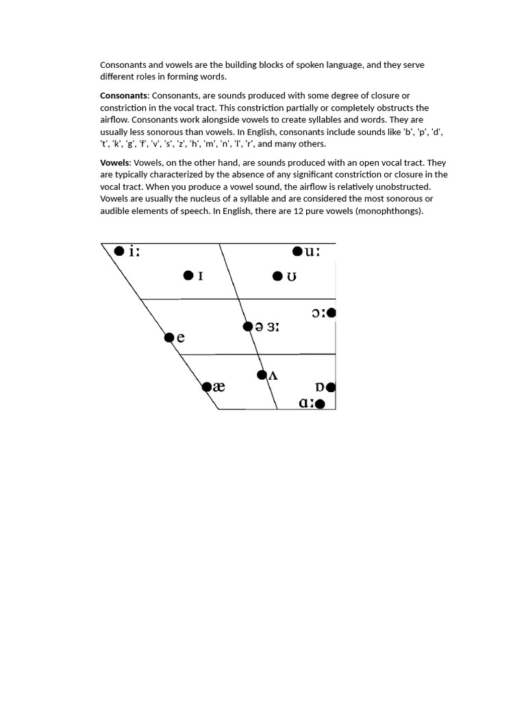 Consonants and Vowels Are The Building Blocks of Spoken Language | PDF