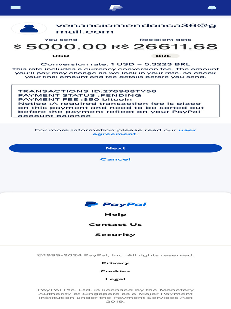 PayPal Make A Payment Preview 16 | PDF