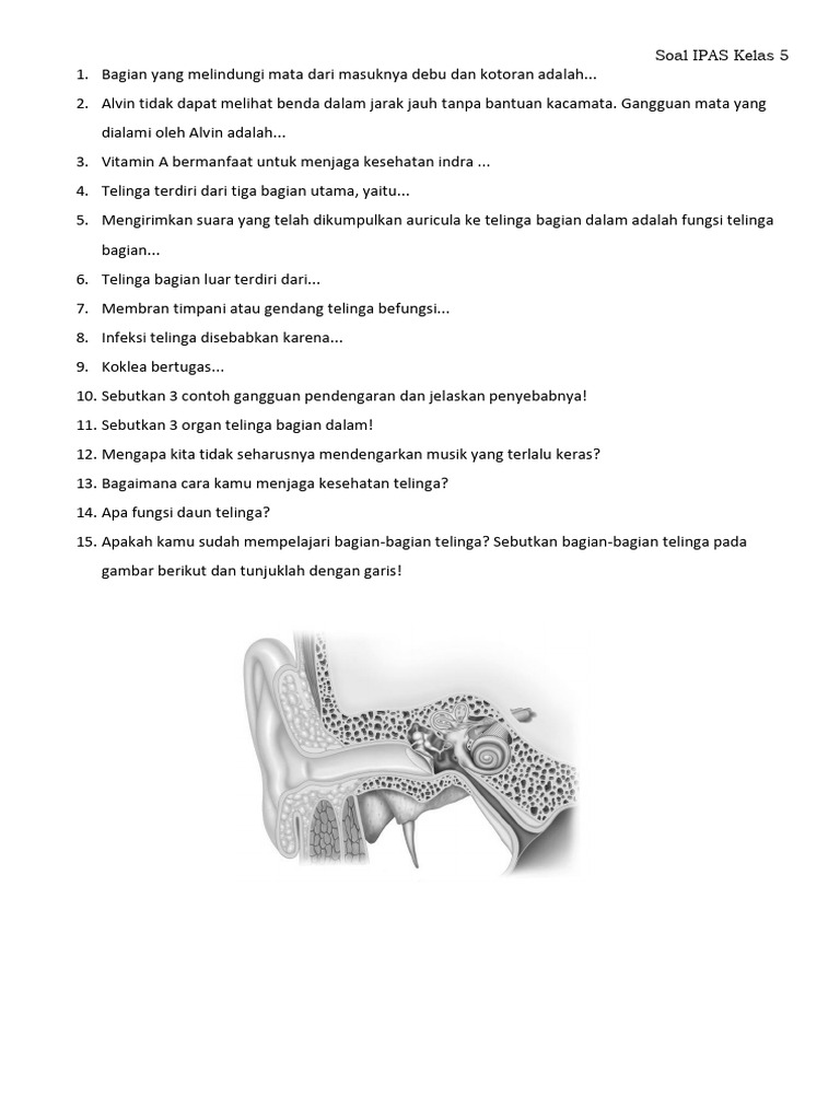 Soal IPAS Bagian Telinga Dan Fungsinya | PDF