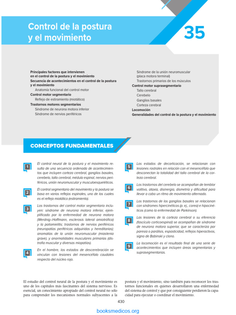 Control de postura y movimiento - ADEL K. AFIFI | PDF | Neurona motora | Ganglios basales