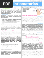 Etapas de la Inflamación Explicadas | PDF | Inflamación | Inmunología