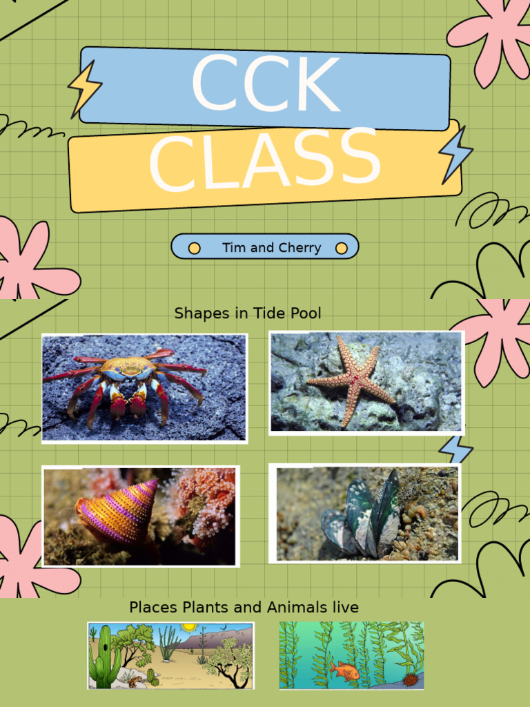 CCK Police Officers 250314 | PDF