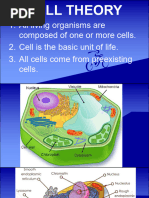 Cell as a Factory: Organelles Explained | PDF | Cell (Biology) | Anatomy