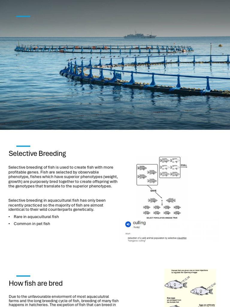 Aquaculture: Fish Breeding & Management Techniques | PDF | Aquaculture ...