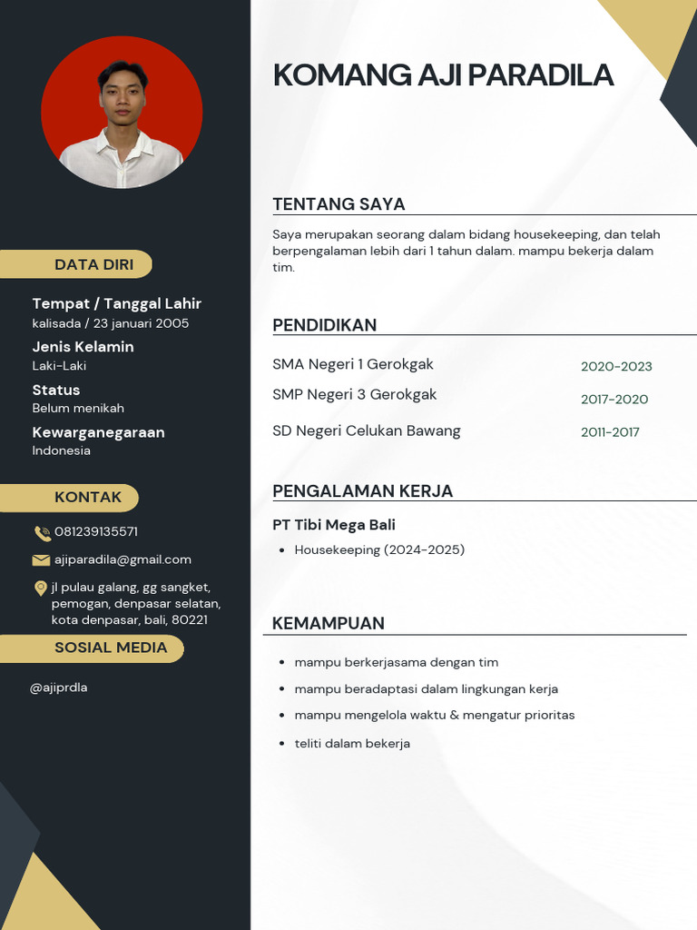 CV Komang Aji Paradila | PDF