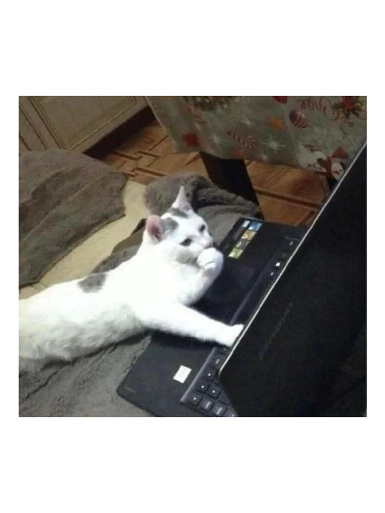 Image To PDF 20250503 090645 | PDF