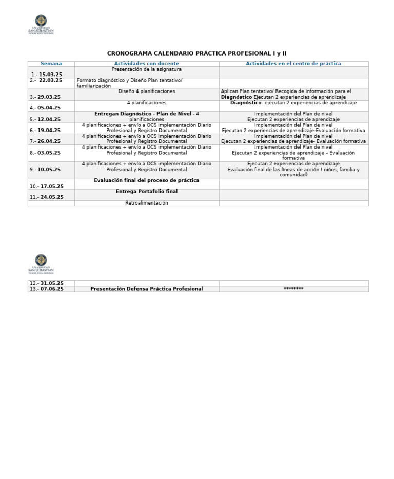 Cronograma Calendario Práctica Profesional | PDF