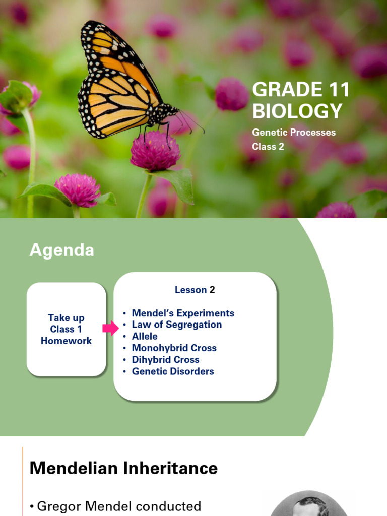 G11 Biology - Class 2 (Annotated) | PDF | Dominance (Genetics) | Genotype