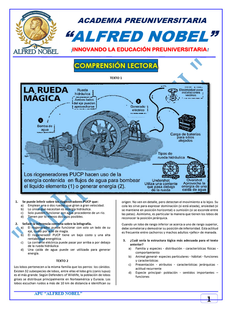 Miscelánea N°01 de A. Verbal - Beca 18 - Academia Alfred Nobel | PDF