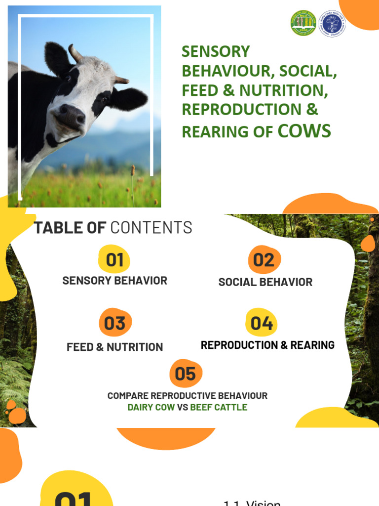 SENSORY BEHAVIOUR, SOCIAL, FEED & NUTRITION, REPRODUCTION & REARING OF COWS.pptx | PDF | Fat ...
