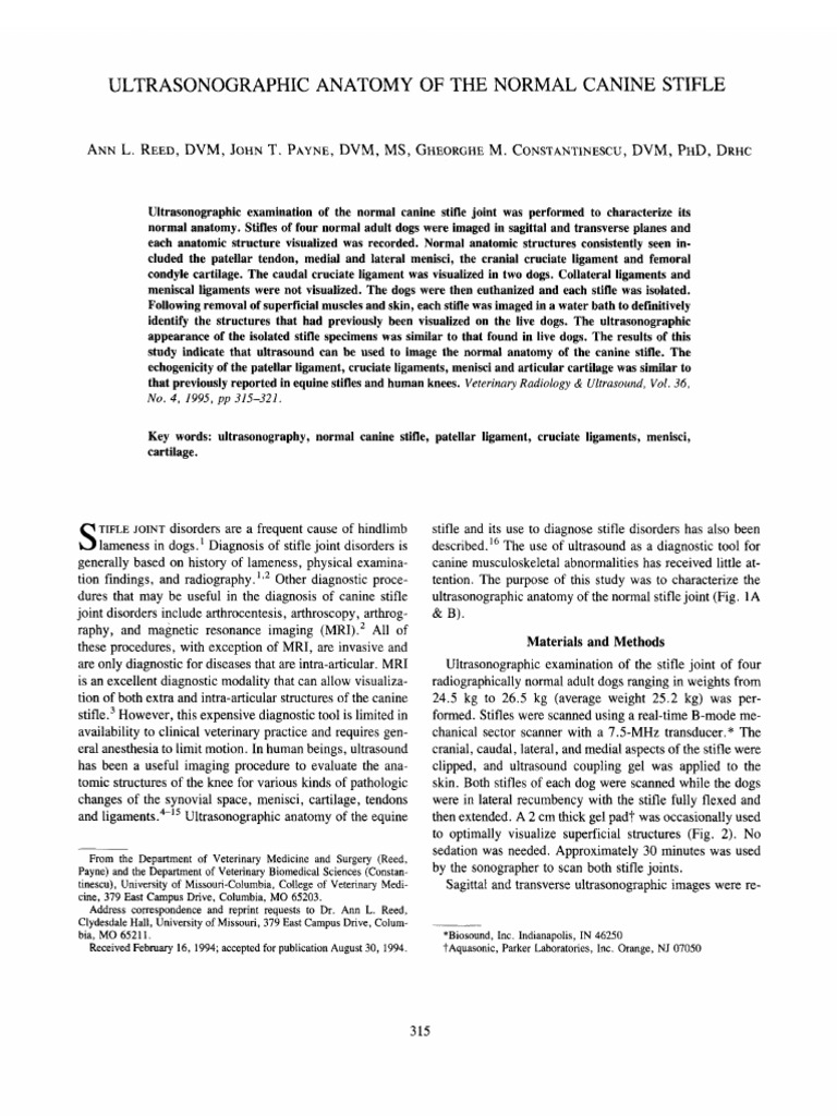 Joelho - Vet Radiology Ultrasound - July 1995 - Reed - ULTRASONOGRAPHIC ...