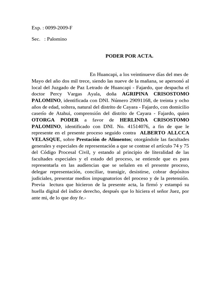 Poder Por Acta | PDF