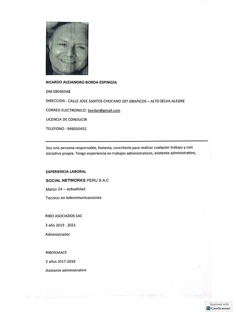 Cv. Ricardo Borda | PDF