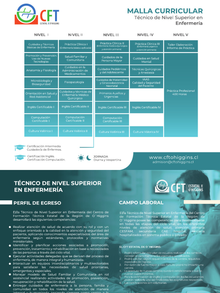 MALLA_TENS_ENFERMERIA-1 | PDF