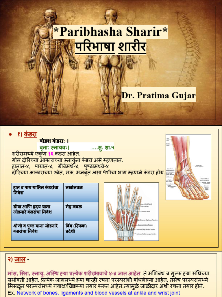 Paribhasha Sharir | PDF