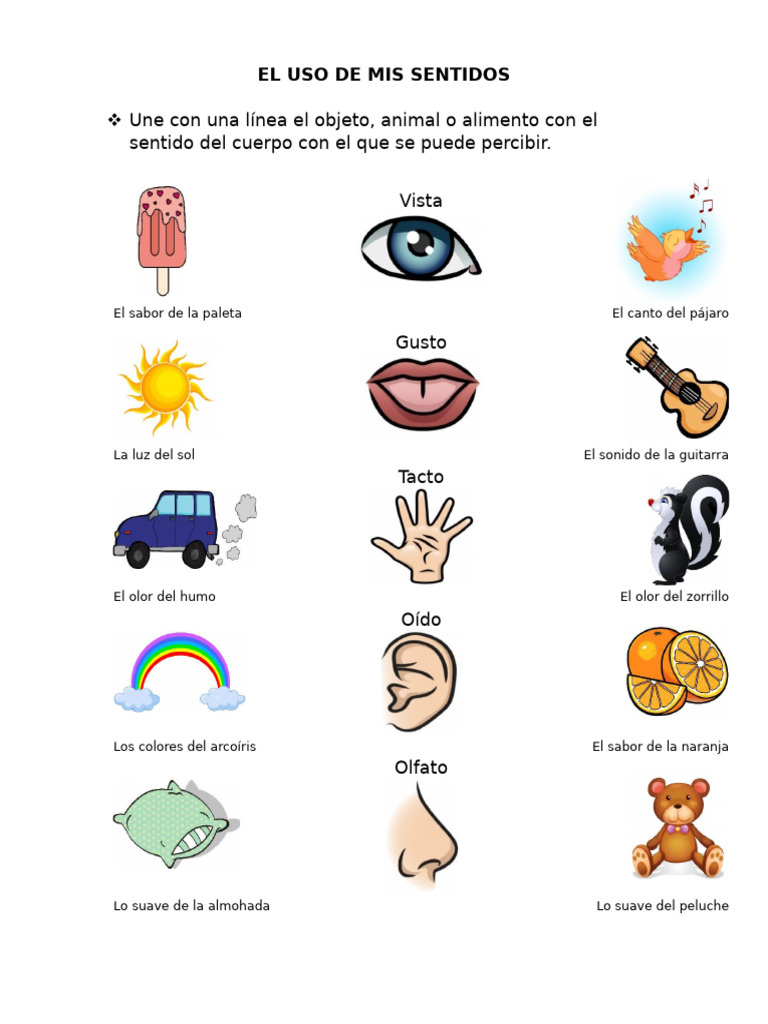 El Uso de Mis Sentidos | PDF