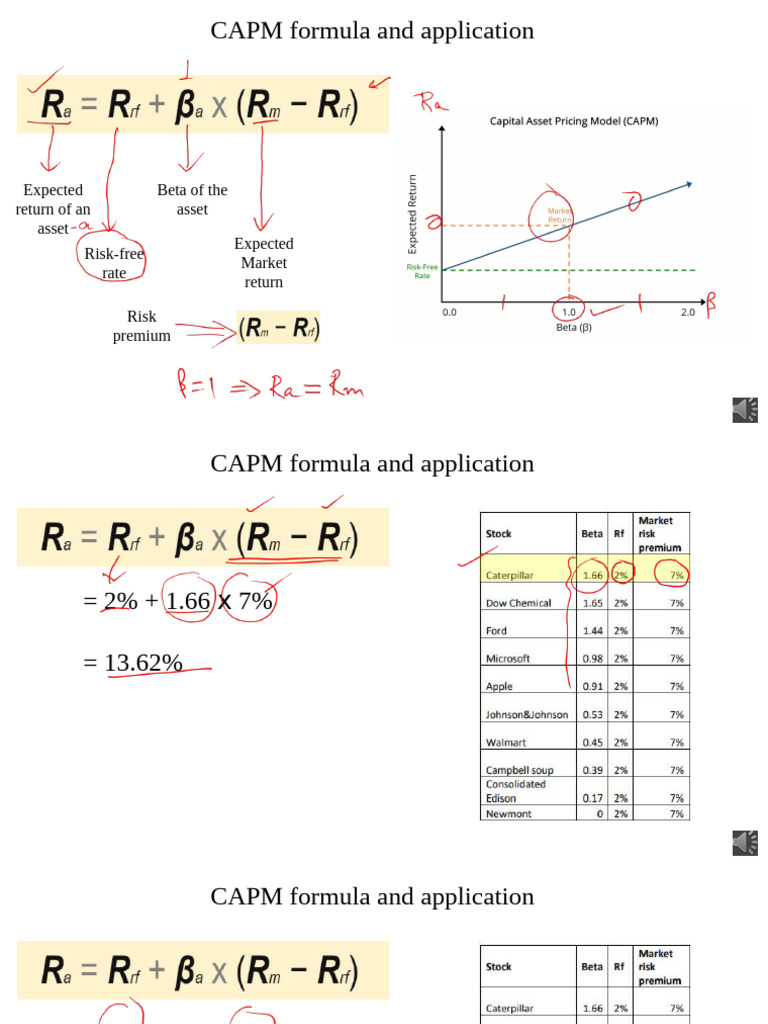 CAPM | PDF