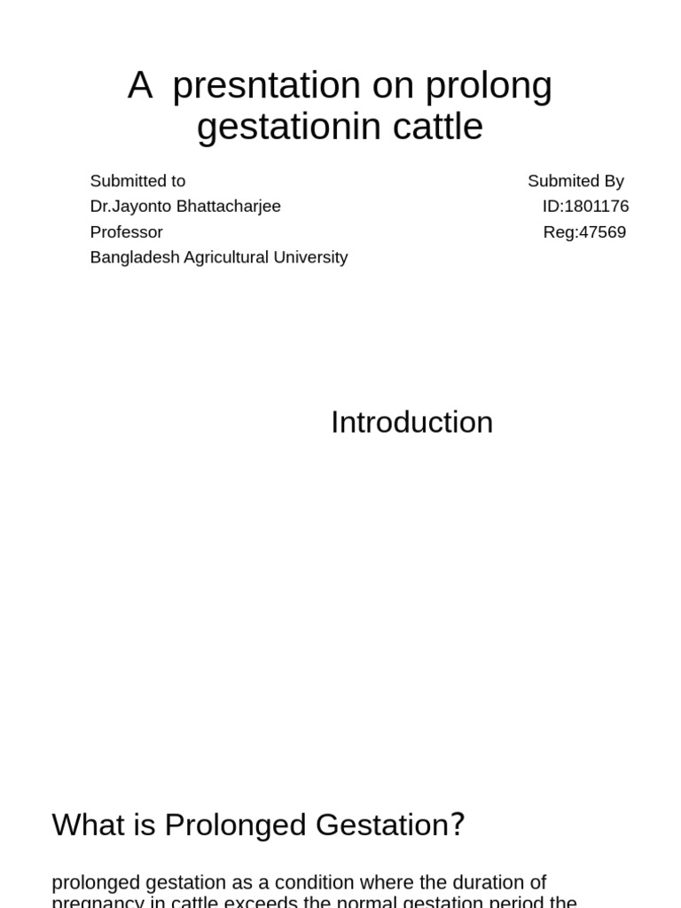 A Presntation On Prolong Gestationin Cattle | PDF | Pregnancy | Childbirth