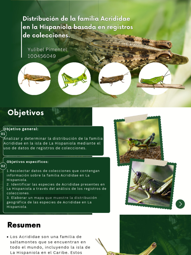acrididae presentacion | PDF | Entorno natural | Habitat