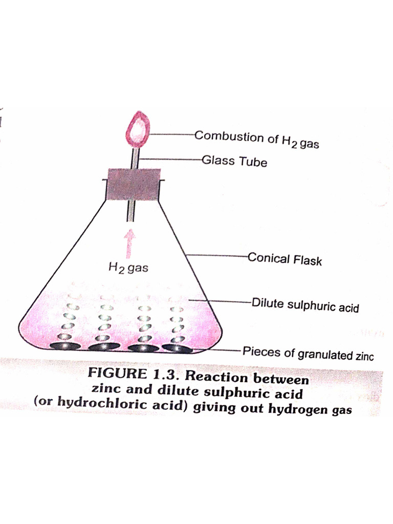 ZN and HCL | PDF