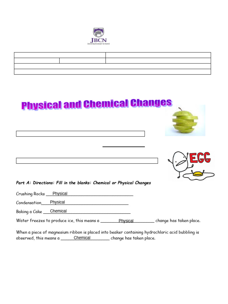 Physical and Chemical Changes Chem | PDF | Breads | Chemical Reactions