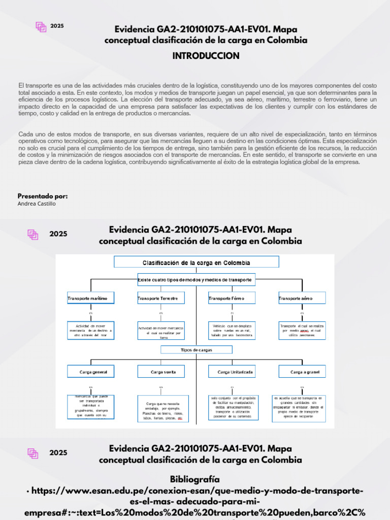 Evidencia GA2-210101075-AA1-EV01. Mapa conceptual clasificación de la carga en Colombia | PDF