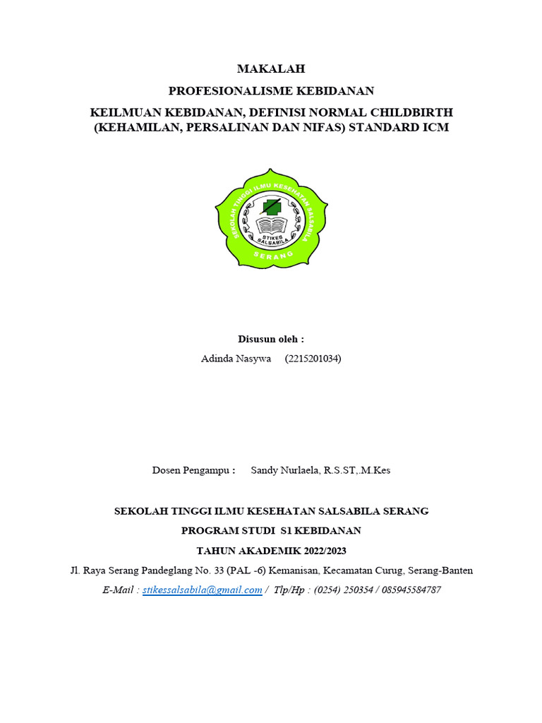 Adinda Profe Icm | PDF