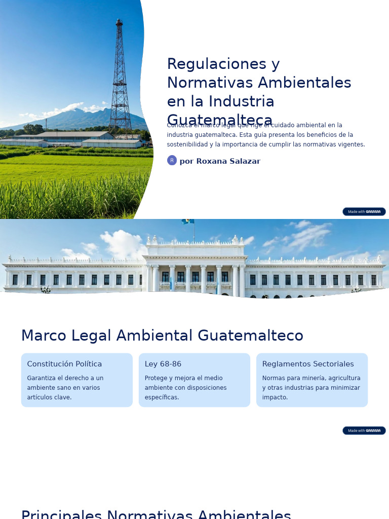 Regulaciones y Normativas Ambientales en La Industria Guatemalteca ...