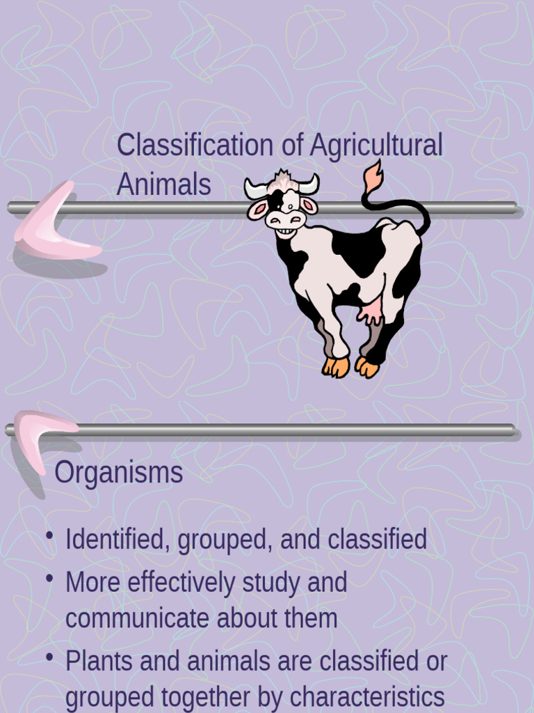 Classification of Agricultural Animals | PDF | Organisms | Biological ...