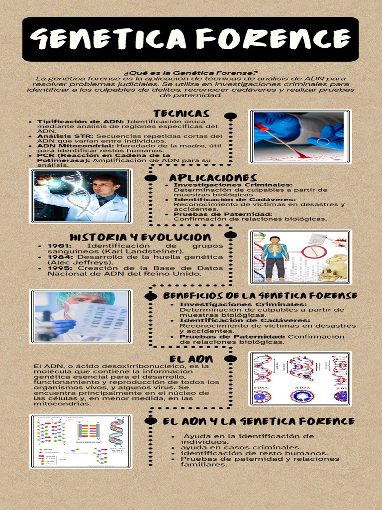 Genética Forense: Identificación y Técnicas | PDF | Perfiles de ADN | Adn