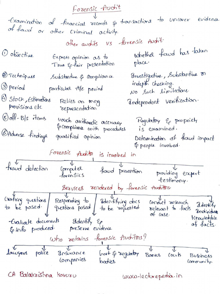Forensic Audit Handwritten chart | PDF